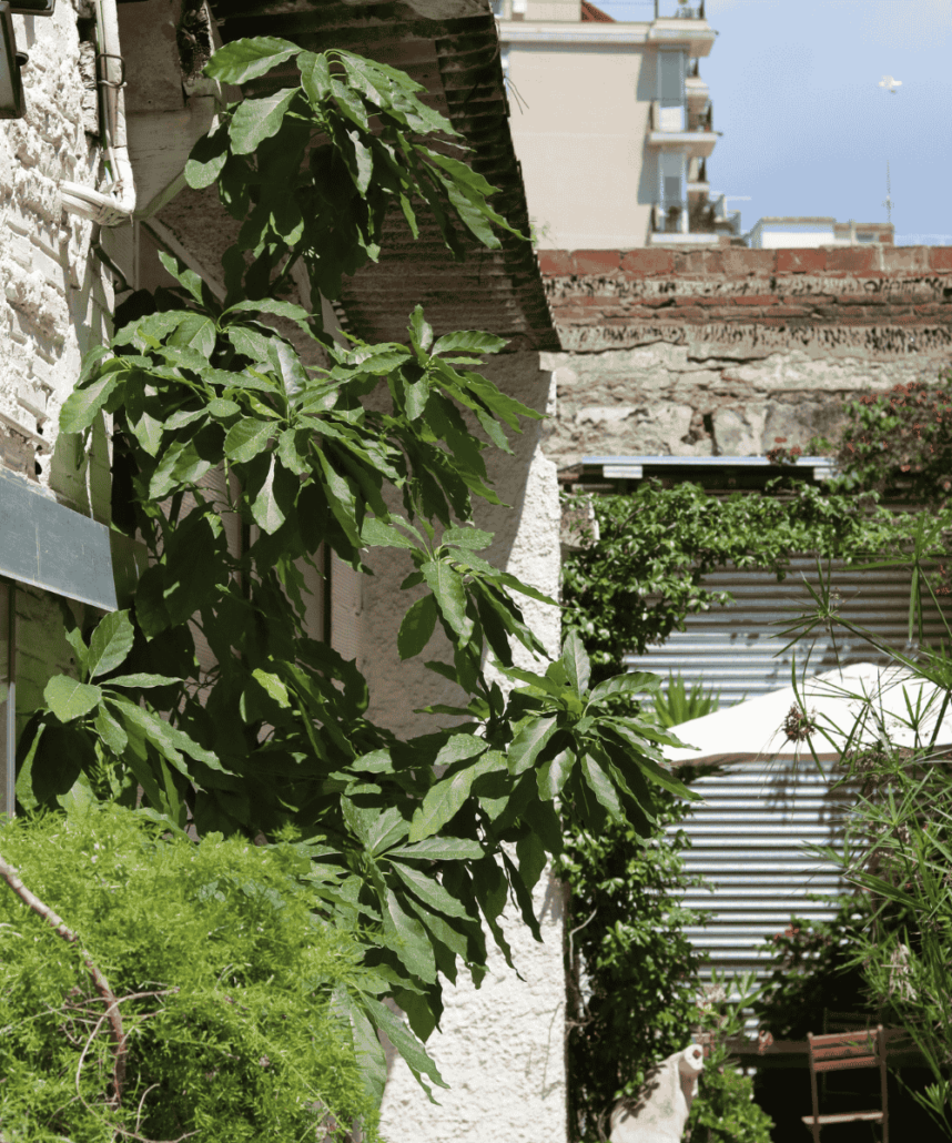 Master's in Art Therapy - Metàfora Art Therapy School